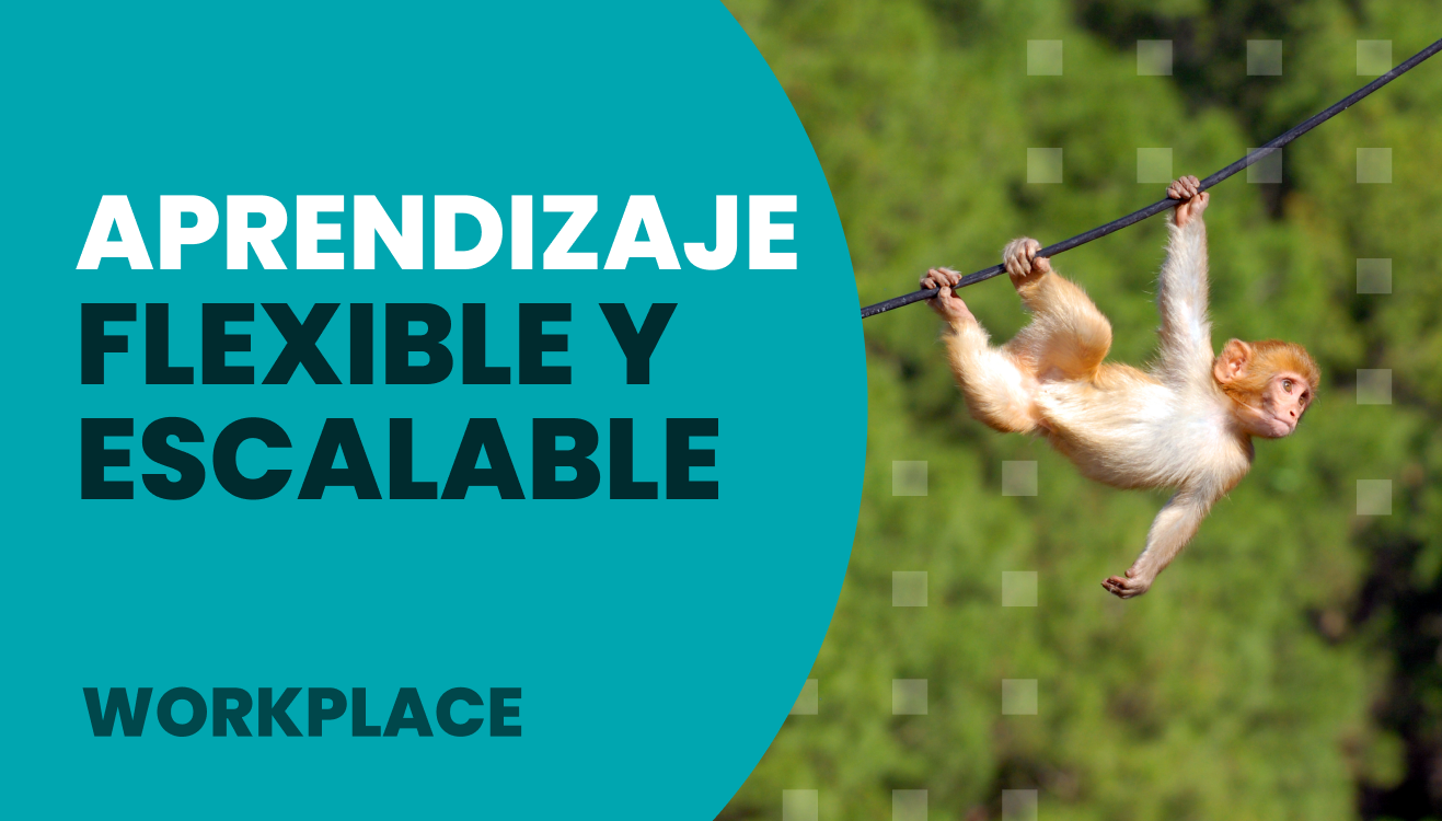 Aprendizaje flexible y escalable con Moodle Workplace - Soluciones e-learning - 3ipunt